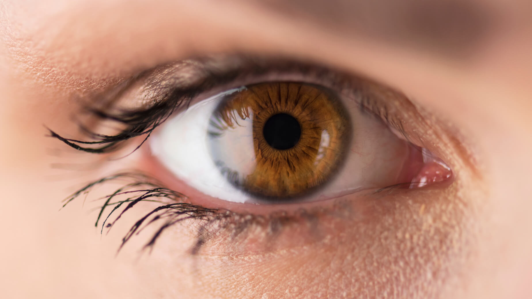 What Can Our Eyes Tell Us About Our Health Eyesight Associates What Can Our Eyes Tell Us About Our Health Eyesight Associates